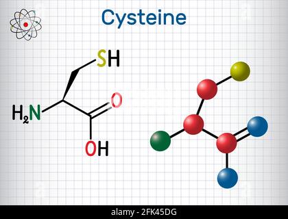 Cysteine (l-cysteine, Cys, C) amino acid molecule. Skeletal formula ...