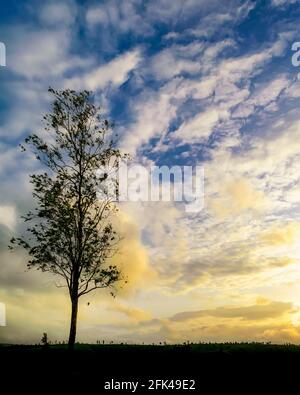 Colorful cloudscape at sunset, background photo with bright orange ...