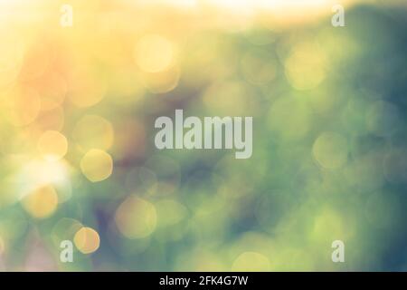 Blurred bokeh background from the forest Stock Photo - Alamy