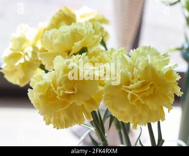 Summertime Seasonal, white yellow seashell on the sandy beach with ...