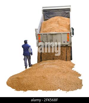 Guided unloading of aggregates from a dump truck Stock Photo - Alamy