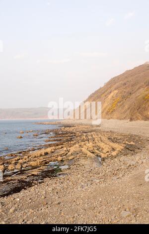 The rocky beach and cliffs at Bucks Mills, North Devon Stock Photo - Alamy