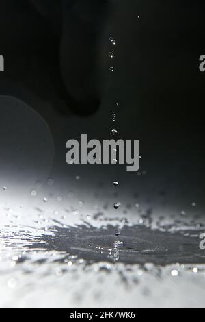 Vertical greyscale shot of drops of water dripping a surface Stock ...