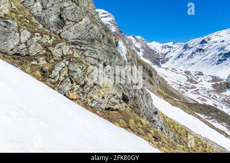 Beautiful shot of the beautiful snowy French Alps and people skiing on ...