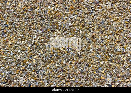 Pebble Dash Texture on an External Wall Stock Photo - Alamy