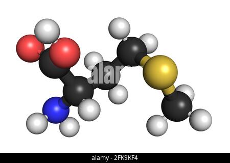L-Methionine, chemical formula and skeletal structure. Essential amino ...