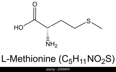 L-Methionine, chemical formula and skeletal structure. Essential amino ...