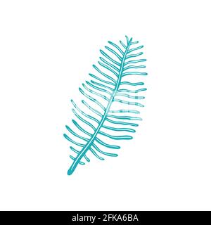 Underwater plant growing in deep sea waters, aquatic environment flora ...