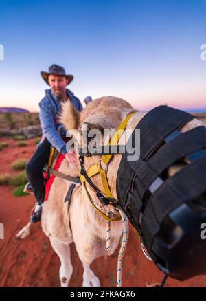 Camel ride at Uluru Stock Photo - Alamy