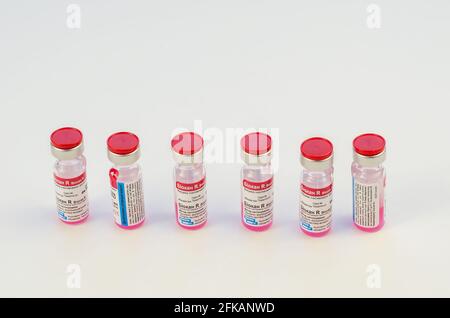 Animal rabies vaccine Biocan R from Bioveta is on gray. Six new ...