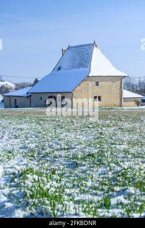 A low angle shot of a field covered with snow against a forest under a ...
