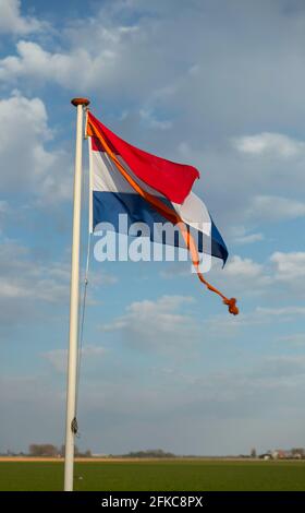 Dutch flag with orange pennant for Kingsday and liberation day ...