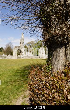 The ruins of medieval Cluniac Priory of Our Lady, Thetford, Norfolk, UK ...