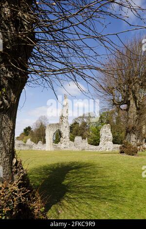 The ruins of medieval Cluniac Priory of Our Lady, Thetford, Norfolk, UK ...
