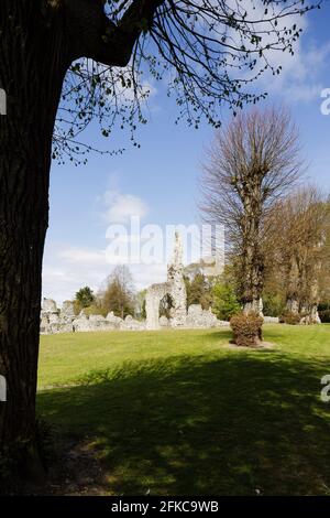 The ruins of medieval Cluniac Priory of Our Lady, Thetford, Norfolk, UK ...