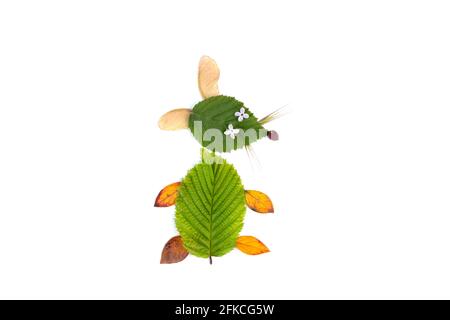DIY dry leaf clip-art for kids, tutorial Stock Photo - Alamy