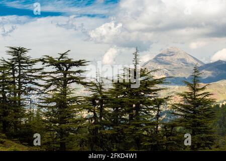 View of cedar forests and Tunc mountain in Antalya - Turkey Stock Photo ...