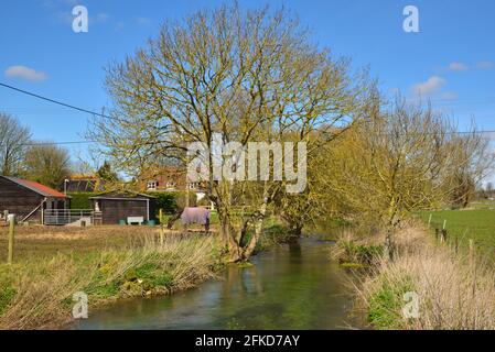 The River Tarrant at Tarrant Monkton, Dorset. The river is running high ...