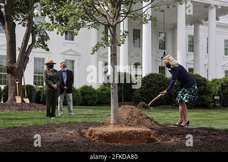 First Lady Jill Biden plants a Linden Tree on the North Lawn of the ...