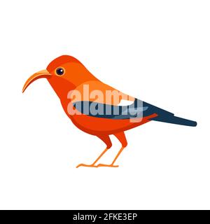 Red bird Apapane Hawaiian Honeycreeper. Exotic Rare bird of the ...