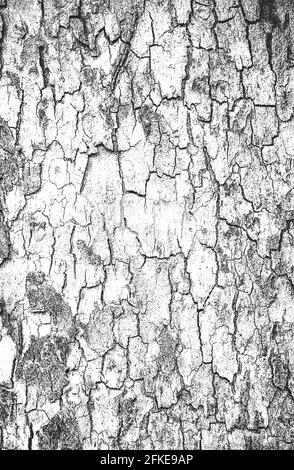 Distressed overlay wooden bark texture, grunge background. abstract ...