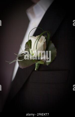 business man in a suit straightens his tie office work Stock Photo - Alamy