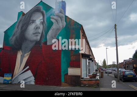 La Sincil Banksy, Lincoln art project, Zabou, French artist, Sir Isaac ...