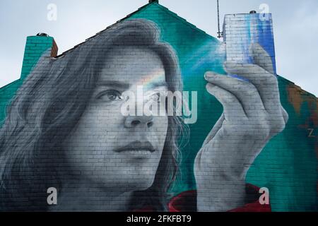 La Sincil Banksy, Lincoln art project, Zabou, French artist, Sir Isaac ...