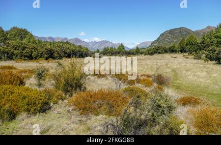 Scenery around the Mount Crichton Loop Track in Otago in New Zealand ...