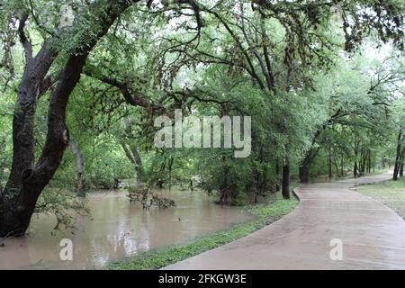 Leon Creek overflows it's banks along the Leon Creek Greenway, within ...