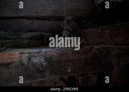 Dusty attic with a lot of cobwebs. Web in the attic of the house, a ...