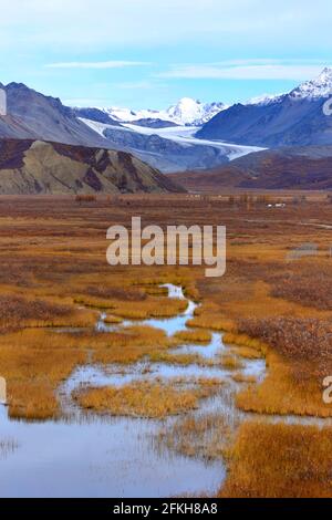 Snowy mountains marsh foreground Alaska USA Stock Photo - Alamy