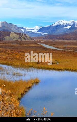 Snowy mountains marsh foreground Alaska USA Stock Photo - Alamy