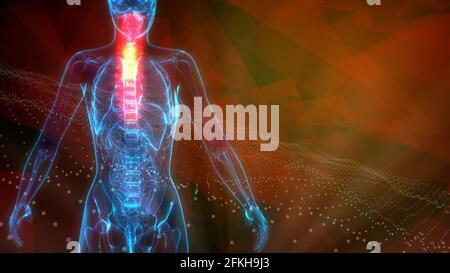 cg healthcare 3d illustration, chine on x-ray scan of body Stock Photo ...
