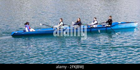 Quad sculling girls learning to row or scull Stock Photo - Alamy