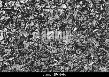 Distressed overlay texture of bean pods, plant stems, dry leaves ...