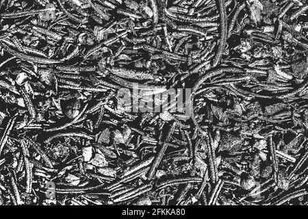 Distressed overlay texture of bean pods, plant stems, dry leaves ...