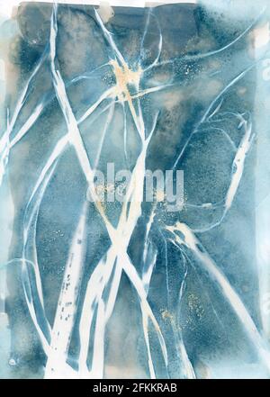 Modern cyanotype sun print images using the wet cyanotype method, dried ...