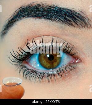Contact lens placement in the eye Stock Photo - Alamy