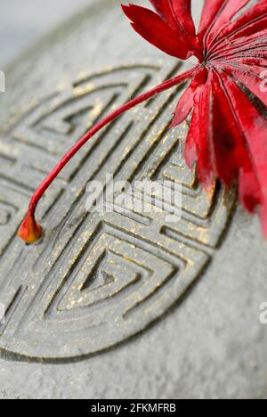 Japanese Maple leaf and Japanese emblem in stone, esotericism, symbol ...