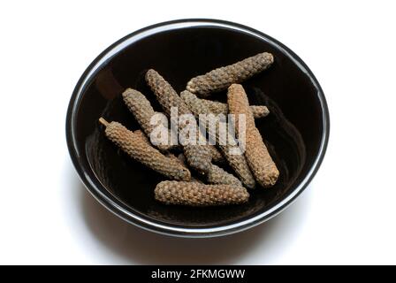Pippali (Piper longum) in shell (Piper retrofractum), Java pepper ...