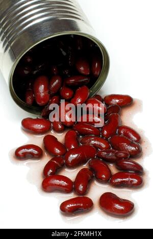 a tin can for canned food conservation food Stock Photo - Alamy
