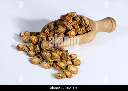 Divide Saposhnikovia root (Saposhnikoviae Radix), Fang Feng, cut out ...