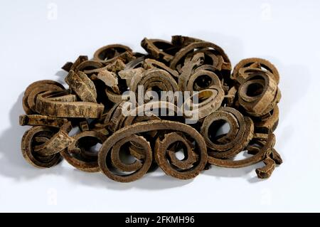 Magnolia bark (Magnoliae Officinalis Cortex), Hou Po, freehand, object ...