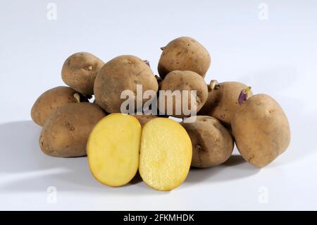 Potato La Bonnotte, potatoes (Solanum tuberosum Stock Photo - Alamy