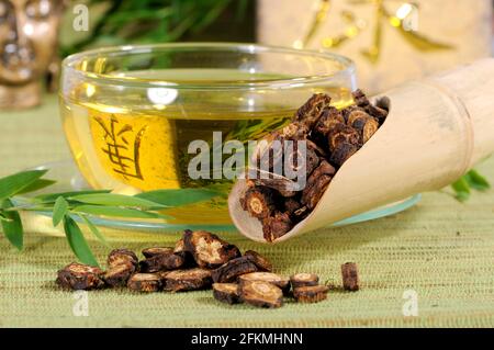 Dried cut Notopterygium rhizome (Notopterygii Rhizoma seu Radix ...