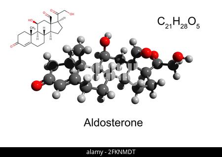 Steroid Structure 3d