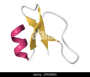 Structure of human beta-defensin-2, 3D cartoon model isolated with ...