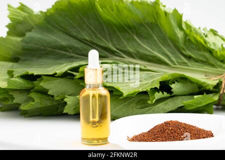Essential Oil Of Brown Sarson Or Chinese Black Mustard Rai Raya Or Raai ...