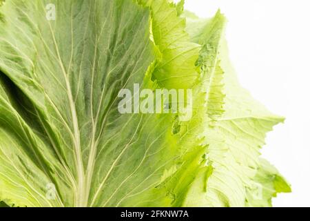 Sarson Leaves Saag Of Brown Or Chinese Black Mustard Rai Raya Or Raai ...